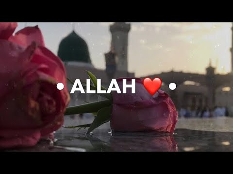 Who Is The Loved One Allah | Beautiful Naat