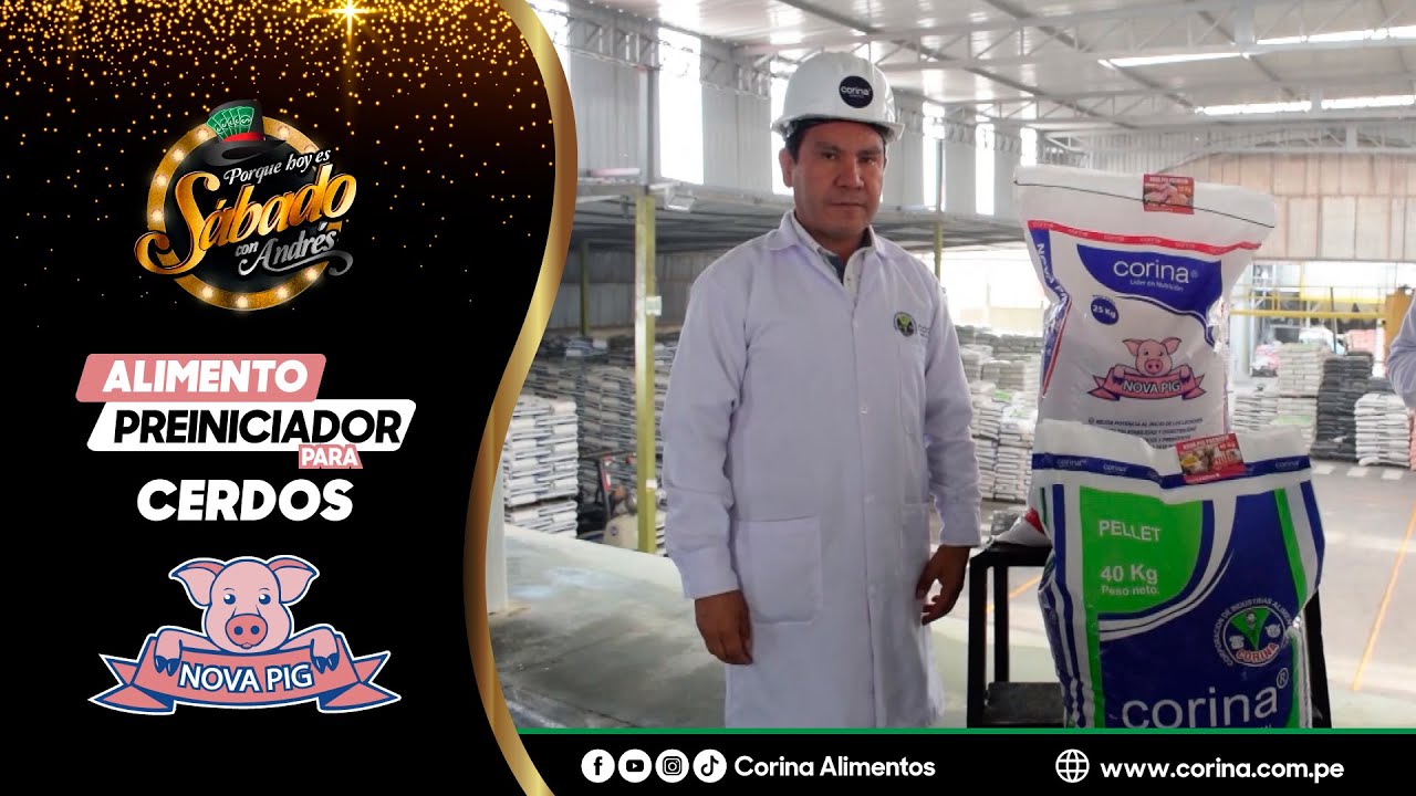 Alimento Balanceado Preiniciador para Cerdos NOVAPIG - YouTube