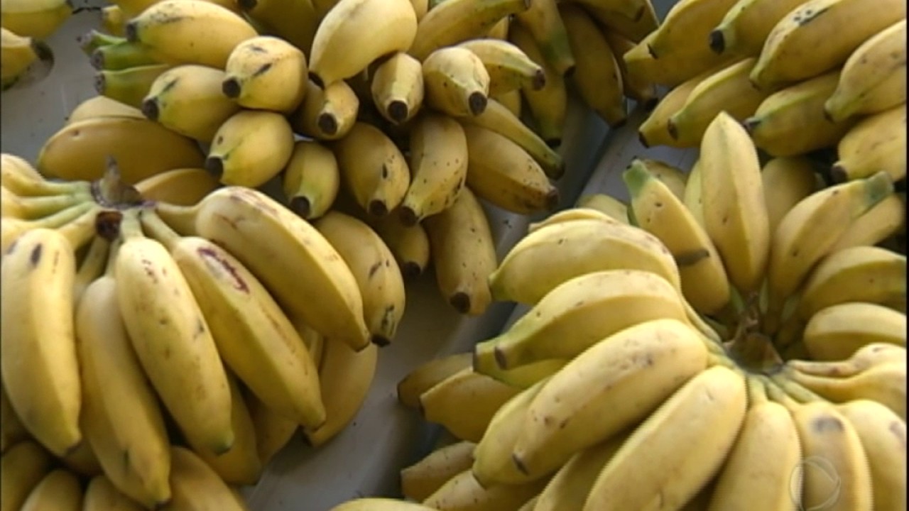 Você sabe comprar frutas? Escolher só pela aparência pode não ser uma ...