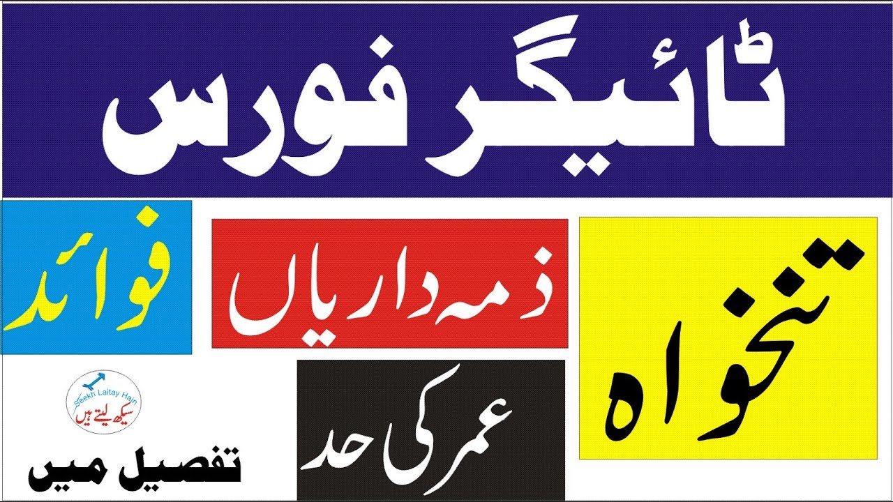 Tiger Force Pay, responsibilities, Criteria, Benefits (Pakistan) - YouTube