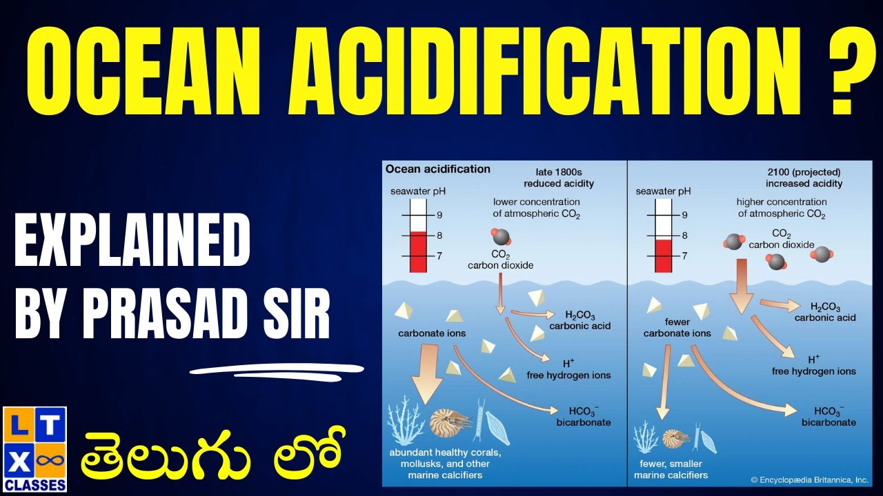 Ocean Acidification : Explained by Prasad Sir | UPSC | APPSC | TSPSC ...