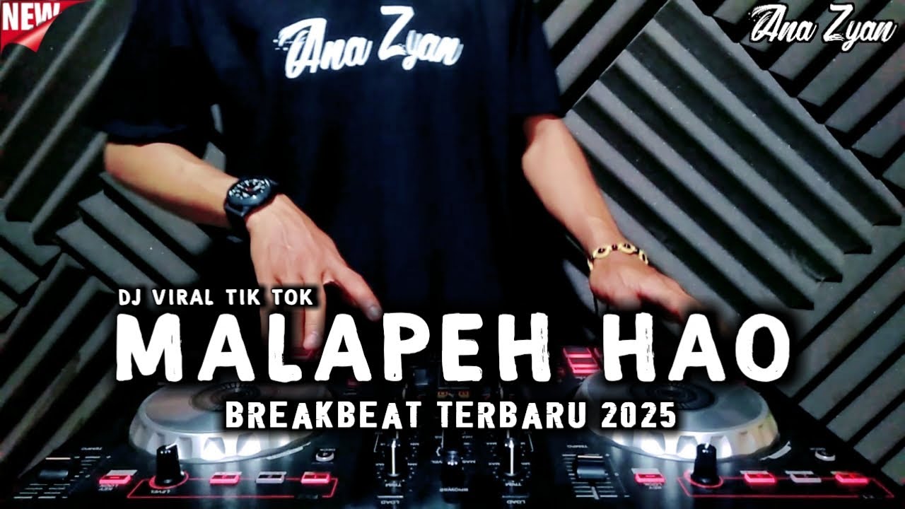DJ MALAPEH HAO BREAKBEAT FULL BASS TERBARU 2025 (ANA ZYAN OFFICIAL ...