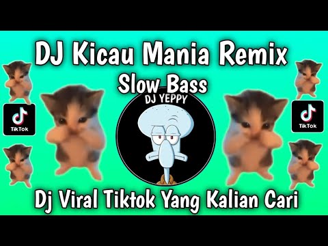 DJ KICAU MANIA SLOW BASS VIRAL TIKTOK TERBARU 2026