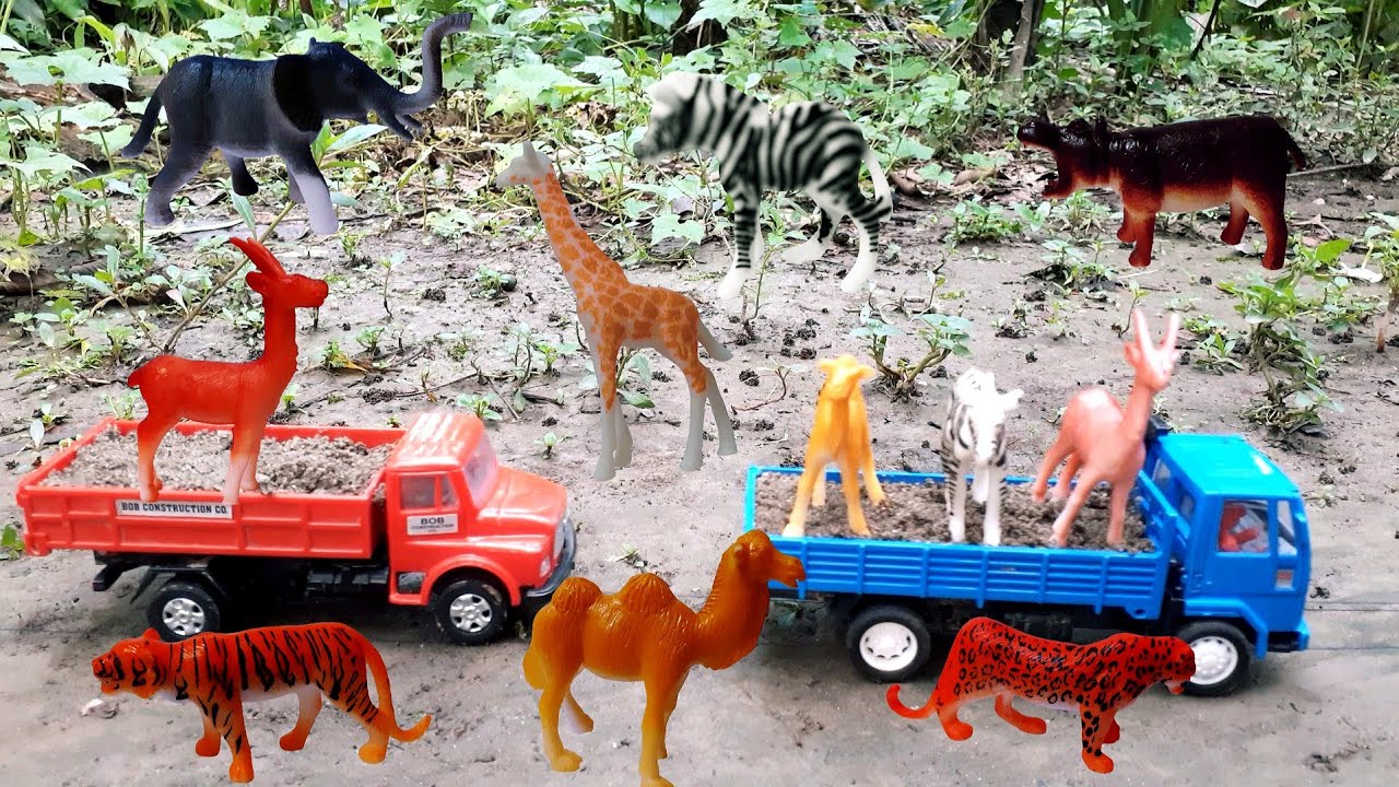 Wild Animals Relocation | Animal toys | Jungle Safari |DIY Diorama - YouTube