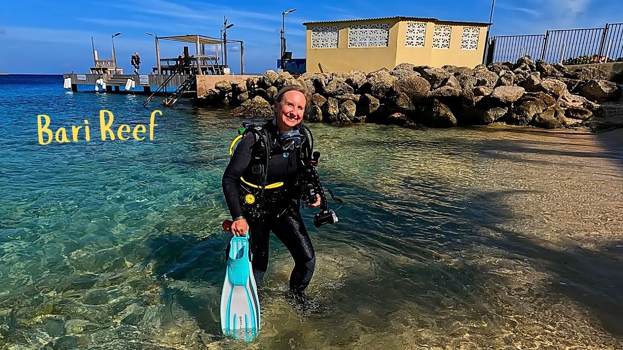 Bonaire Shore Diving Tips & Tricks - Bari Reef - YouTube