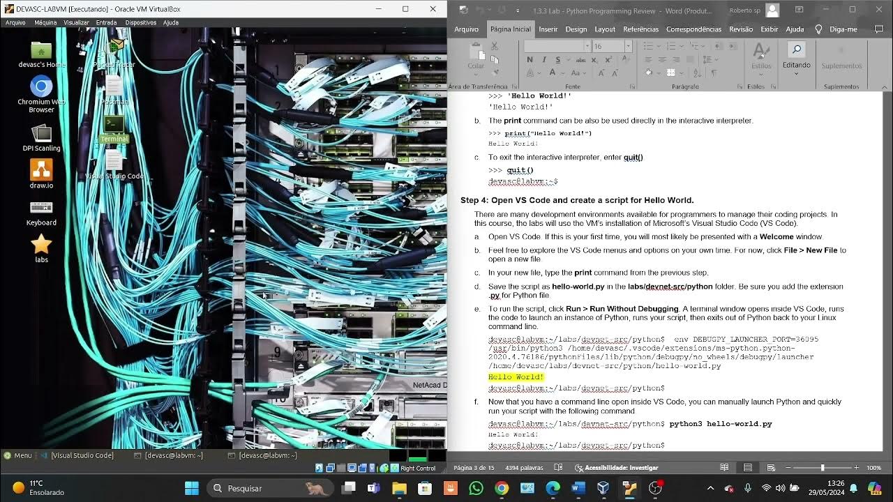 1 3 3 Lab Python Programming Review - YouTube