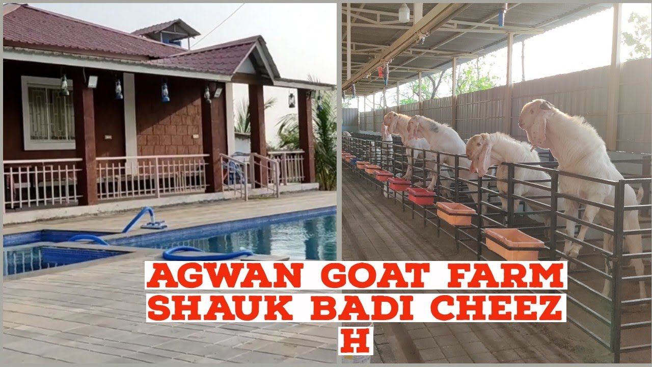 AGWAN GOAT FARM . - YouTube