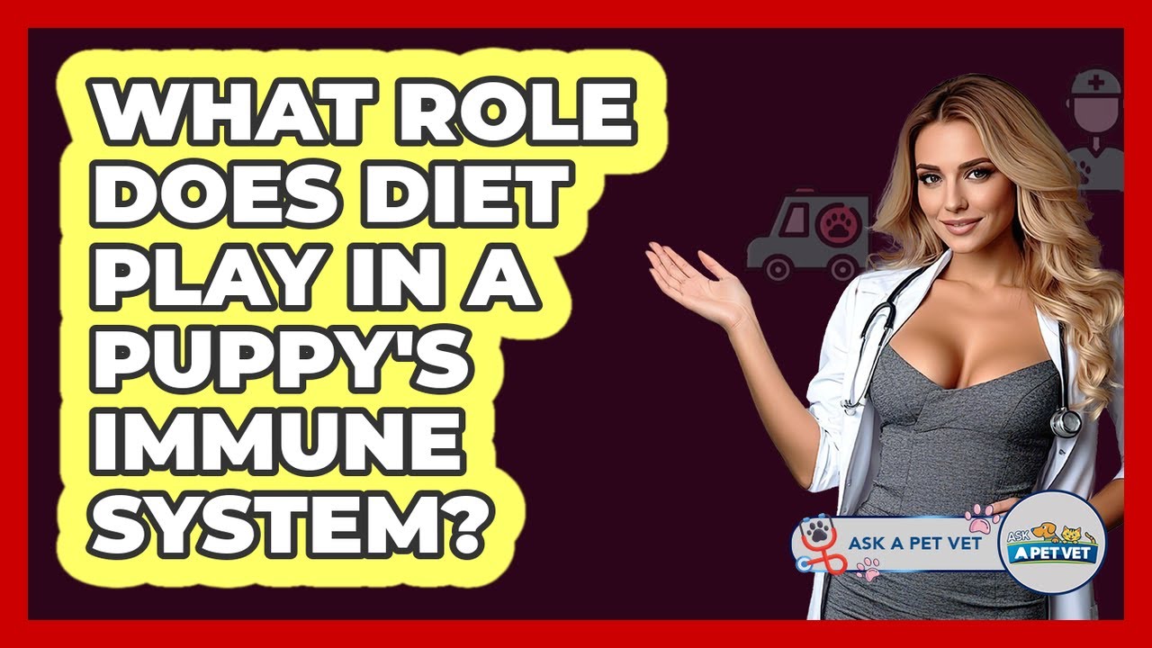 What Role Does Diet Play In A Puppy's Immune System? - Ask A Pet Vet ...