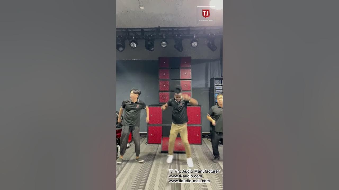 T.I Audio new model dual 12" three way line array - YouTube