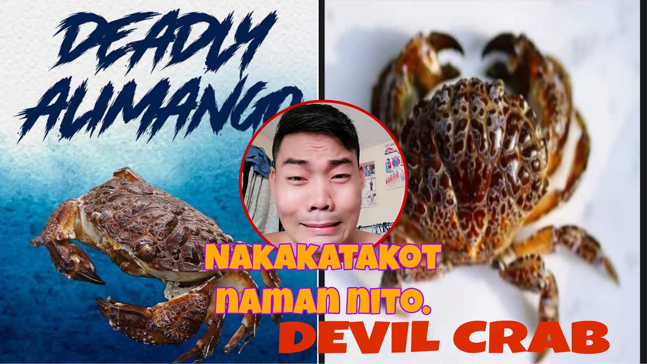 DEADLY CRAB IN THE PHILIPPINES | DEVIL CRAB - YouTube