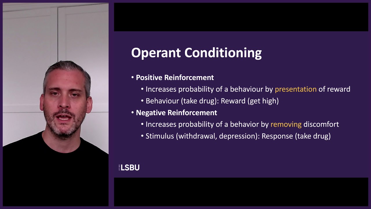 Learning Theory of Addiction - YouTube