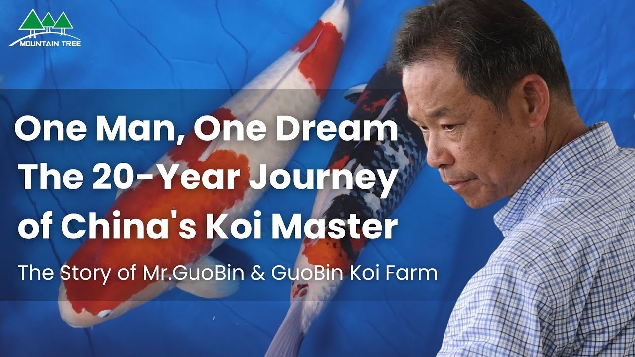 One Man, One Dream: The 20-Year Journey of China's Koi Master, Guo Bin ...
