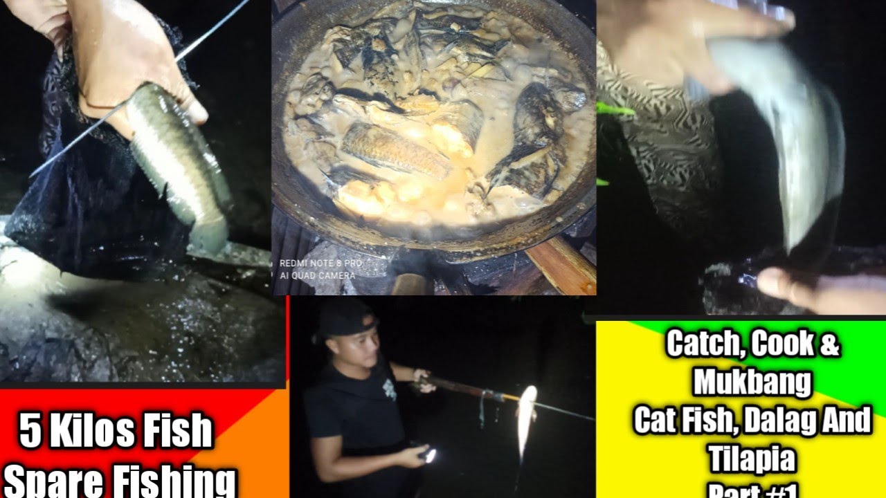 Catch, Cook And Mukbang Cat Fish, Dalag And Tilapia.🐟🐟🐟🐟 #Part1 # ...
