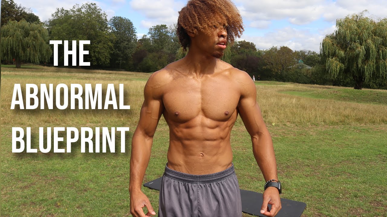 My Calisthenics Programme Beginner to Advanced Level - The Abnormal ...