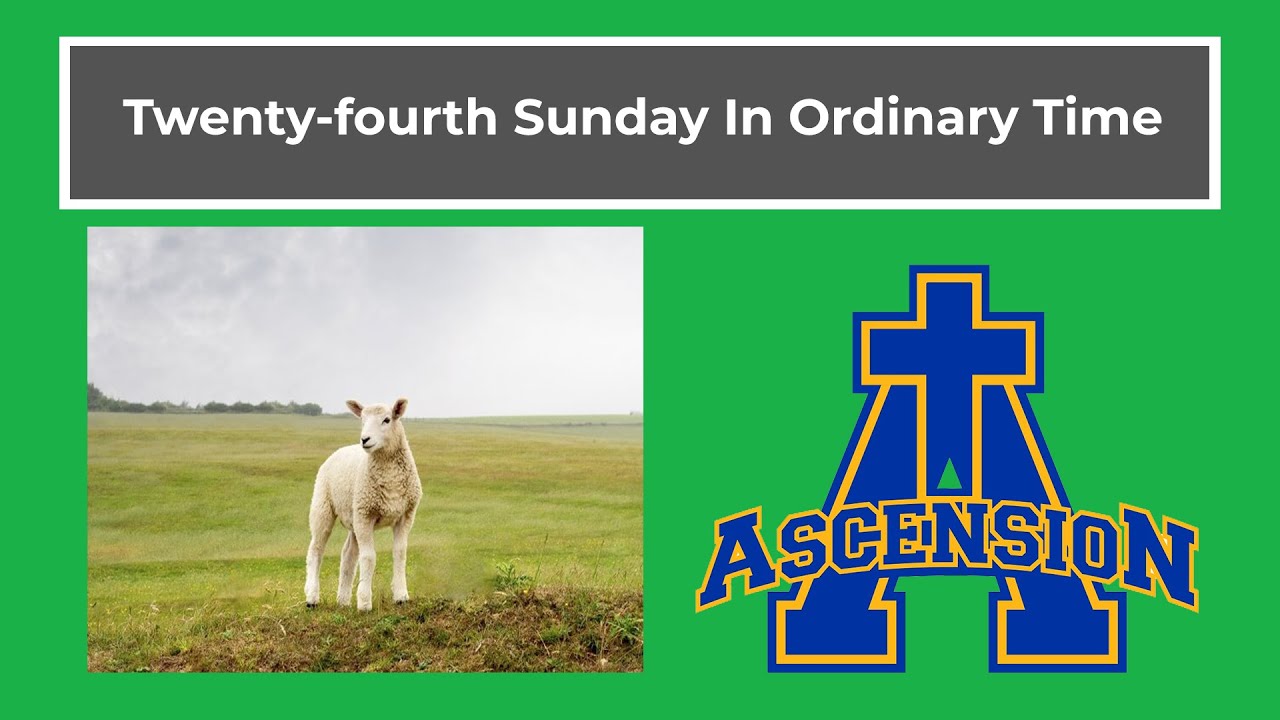 Twenty-Fourth Sunday in Ordinary Time - YouTube