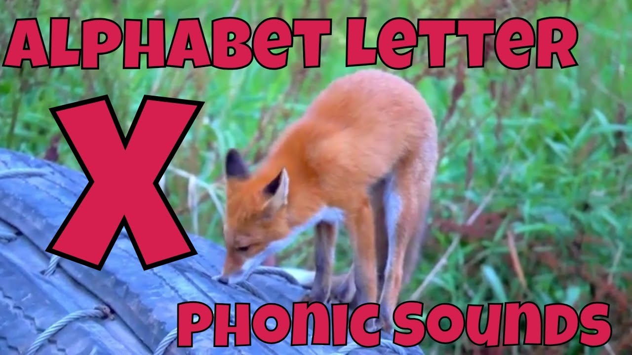 Alphabet Letter Phonic Sounds X - Easy Kids Songs - YouTube