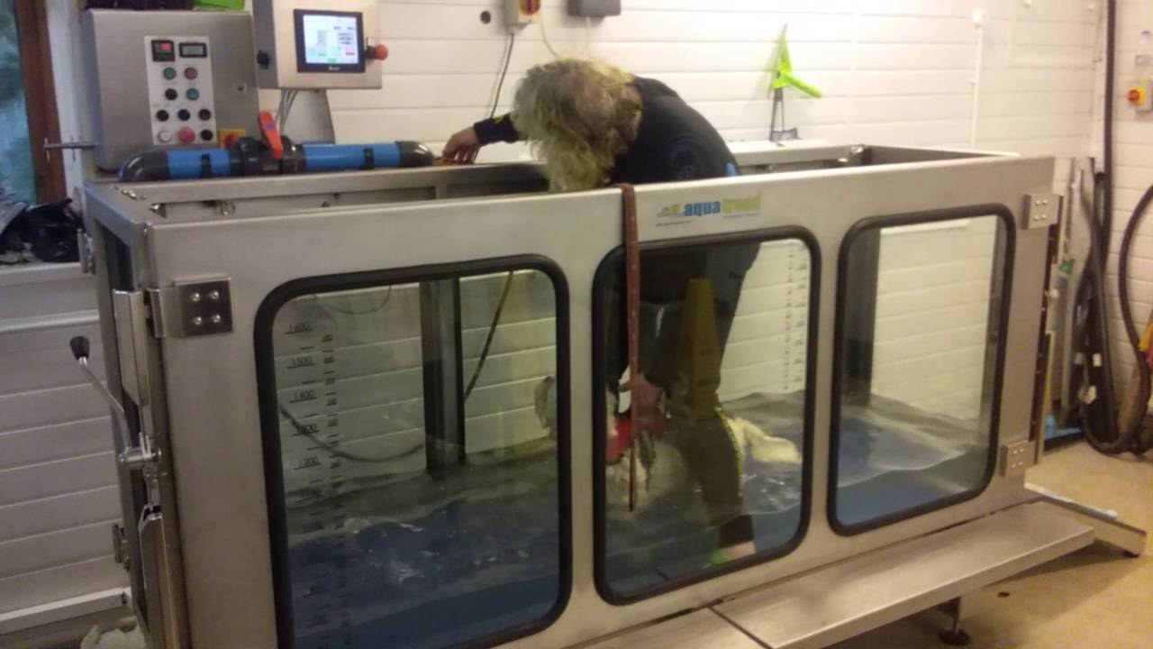Aquatread underwater treadmills in UK - YouTube