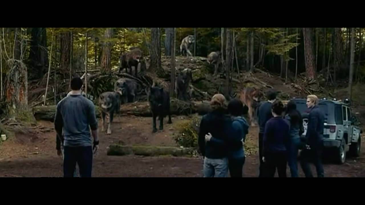 Treinamento da Família Cullen (Family Training cullen) - Eclipse 2010 - YouTube