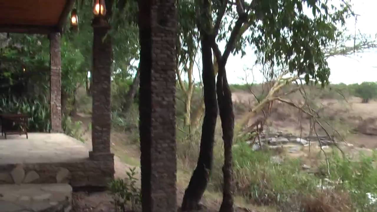 Fig tree camp, Masai Mara, Sept 09 - YouTube