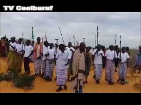 Shirib Abgaal 2018 - YouTube