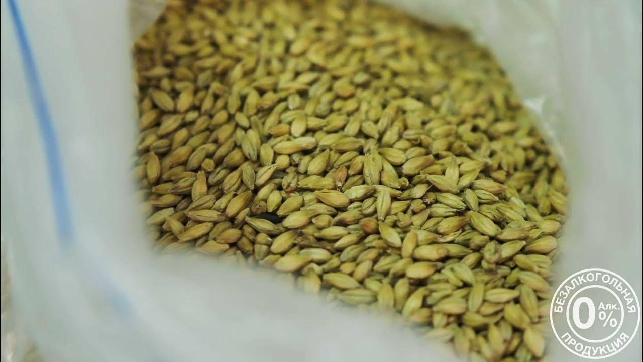 Бергауэр - это внимание к каждой детали - YouTube