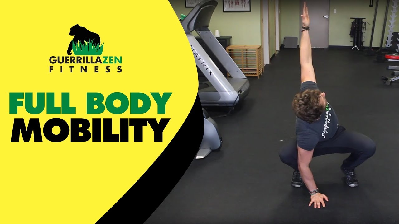 Full Body Mobility Routine | DO THIS AT HOME! - YouTube