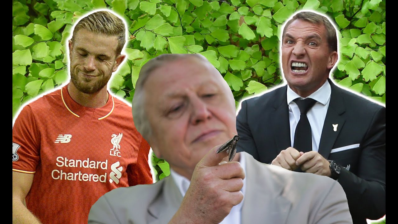 Liverpool FC: Documentary Of Brendan Rodgers' Final Days At Anfield ...