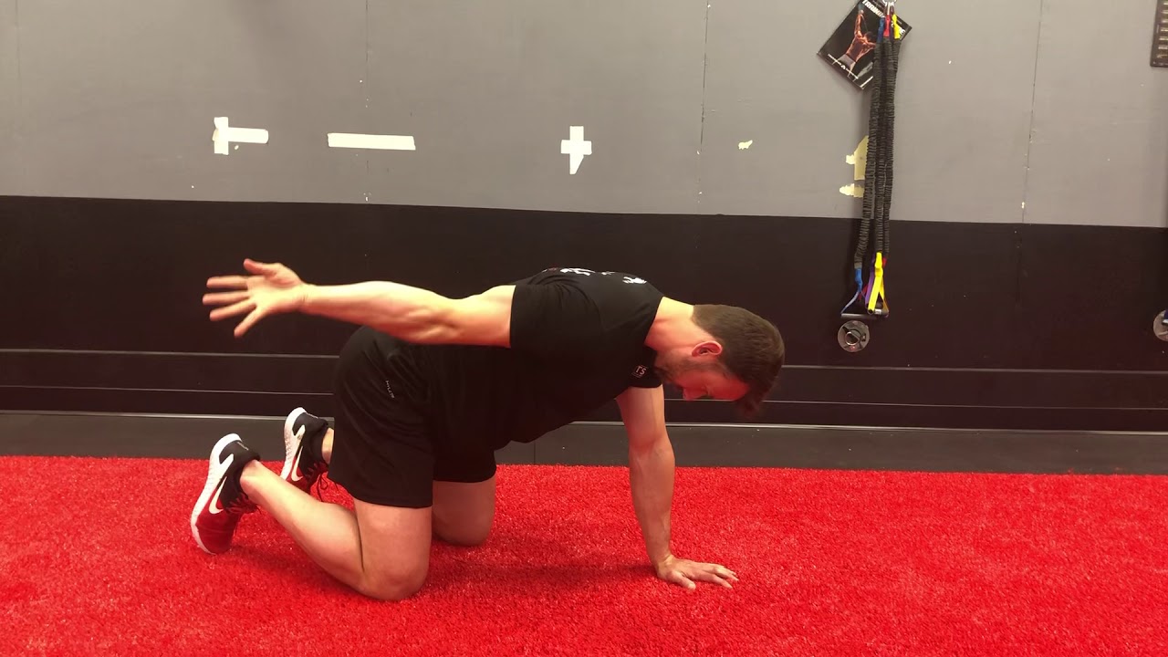 Quadruped Shoulder CAR - YouTube