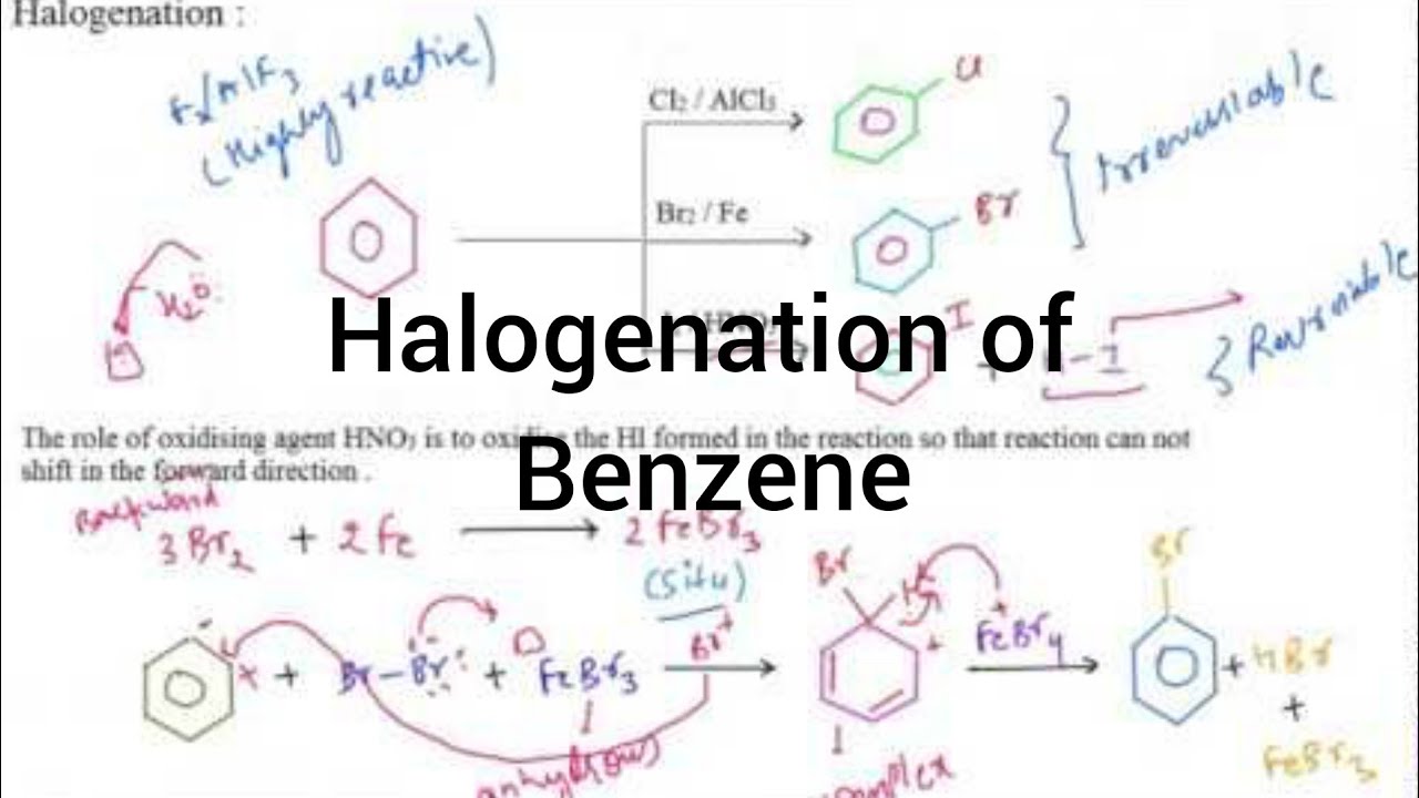 Halogenation of Benzene I Electrophilic Aromatic Substitution I ...