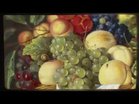 Hidden Secrets: Jan Davidsz. de Heem's genre elevating still life | Christie's