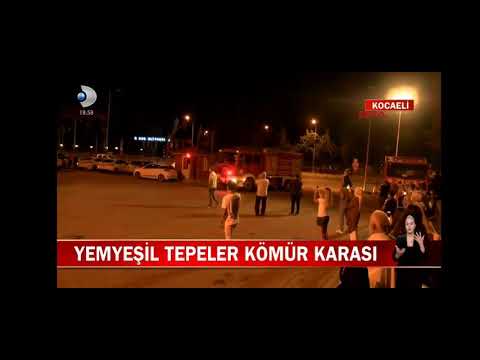 Manavgat Yangını Sonrası Eve Dönüş