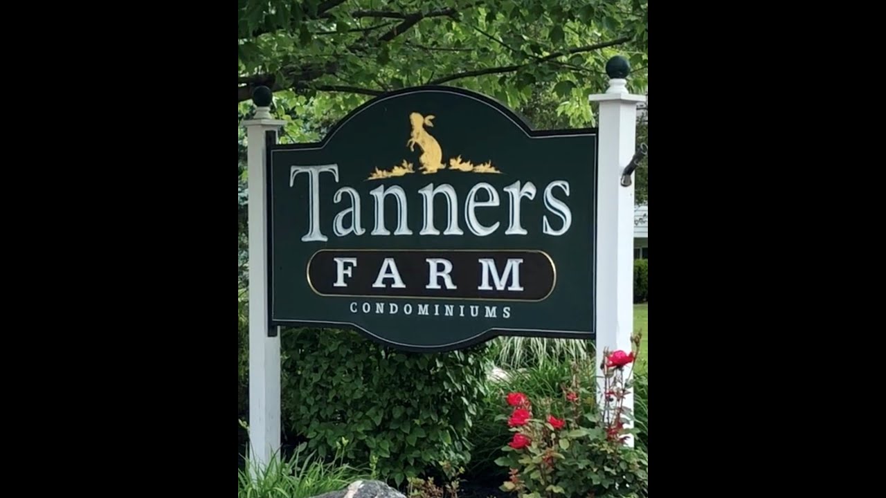 Tanners Farm Update - YouTube