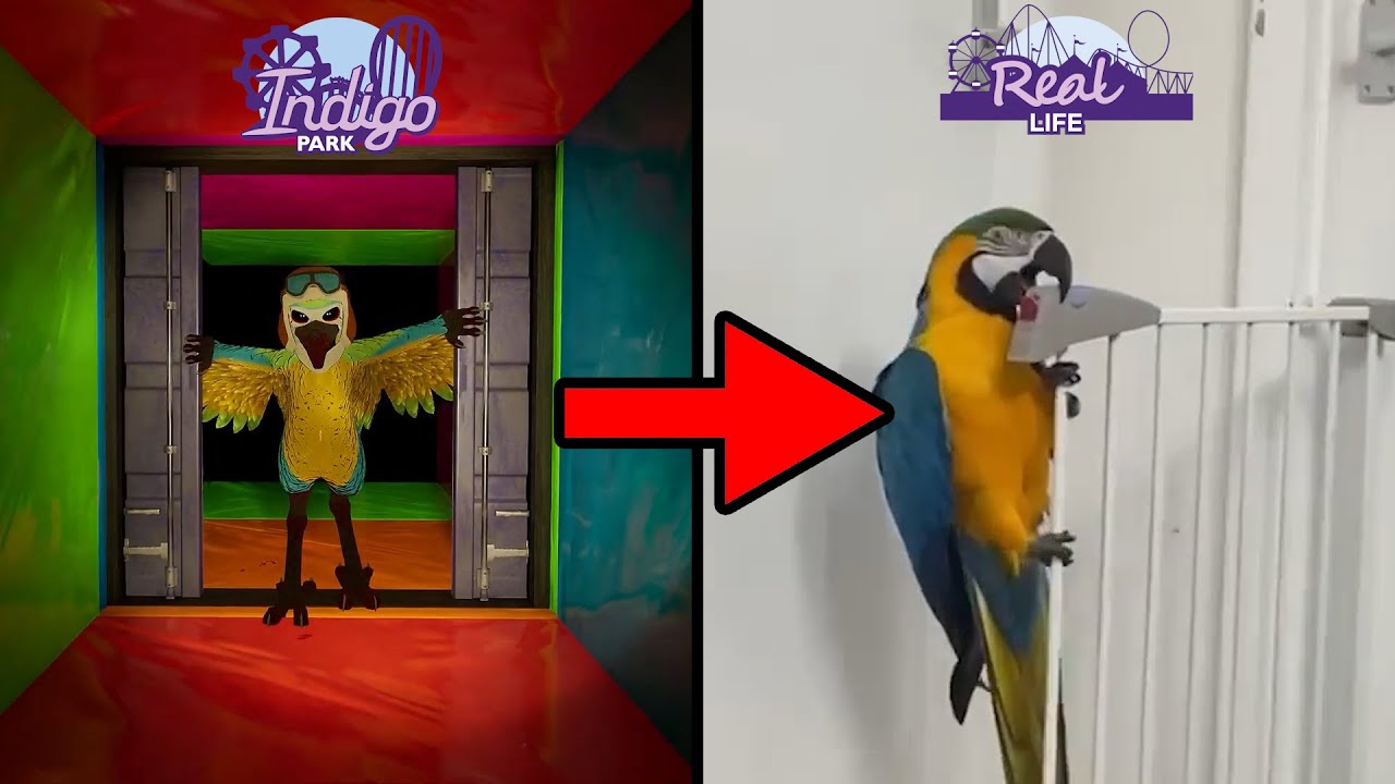 Indigo Park in REAL LIFE - All Characters🔥 - YouTube