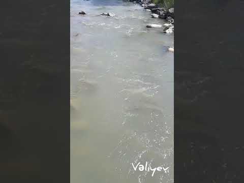Ordubad rayonu Parağa çayı...