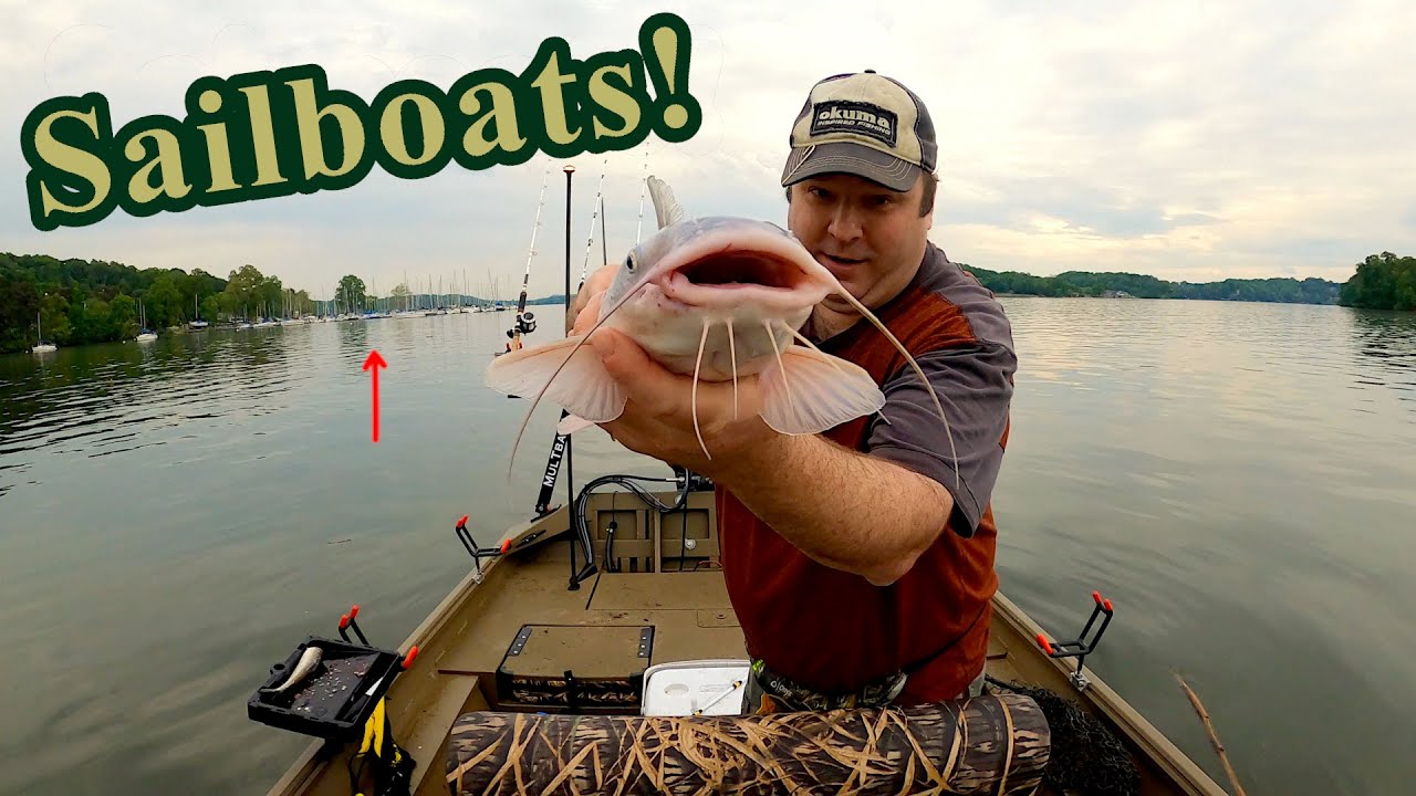 Catching Catfish near anchored Sailboats - YouTube