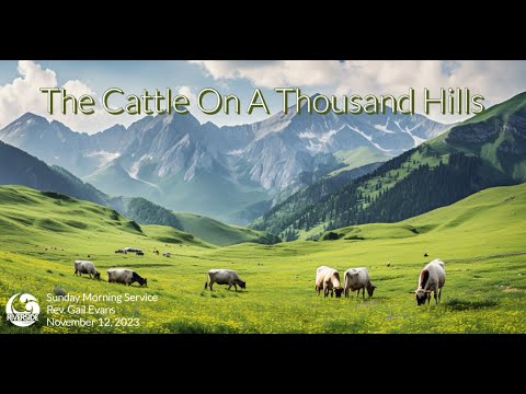 The Cattle On A Thousand Hills - YouTube