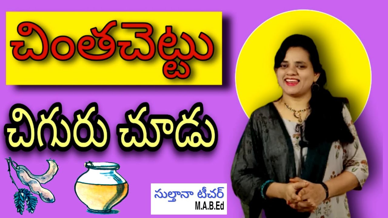 Chintha Chettu Telugu Lesson 5th class చింతచెట్టు తెలుగుపాఠం 5వ తరగతి # ...