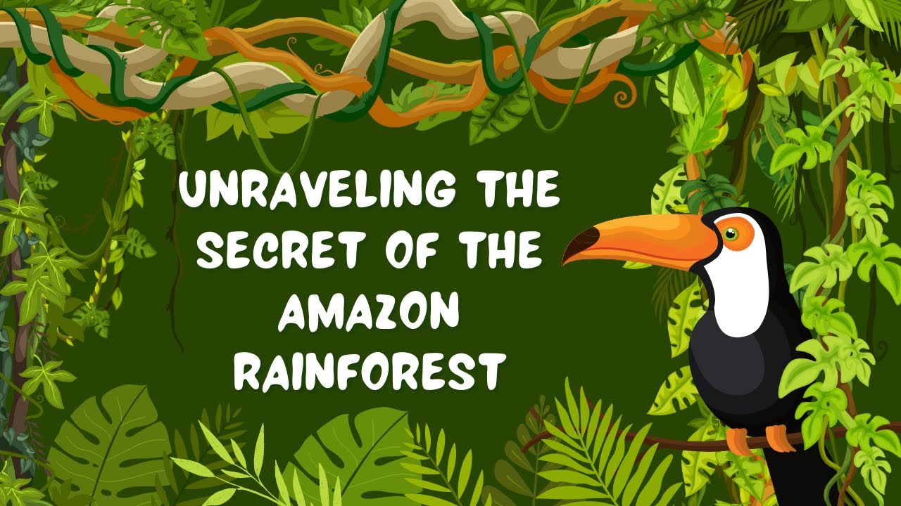 Unraveling The Secret Of The AMAZON RAINFOREST | Real Brazil - YouTube