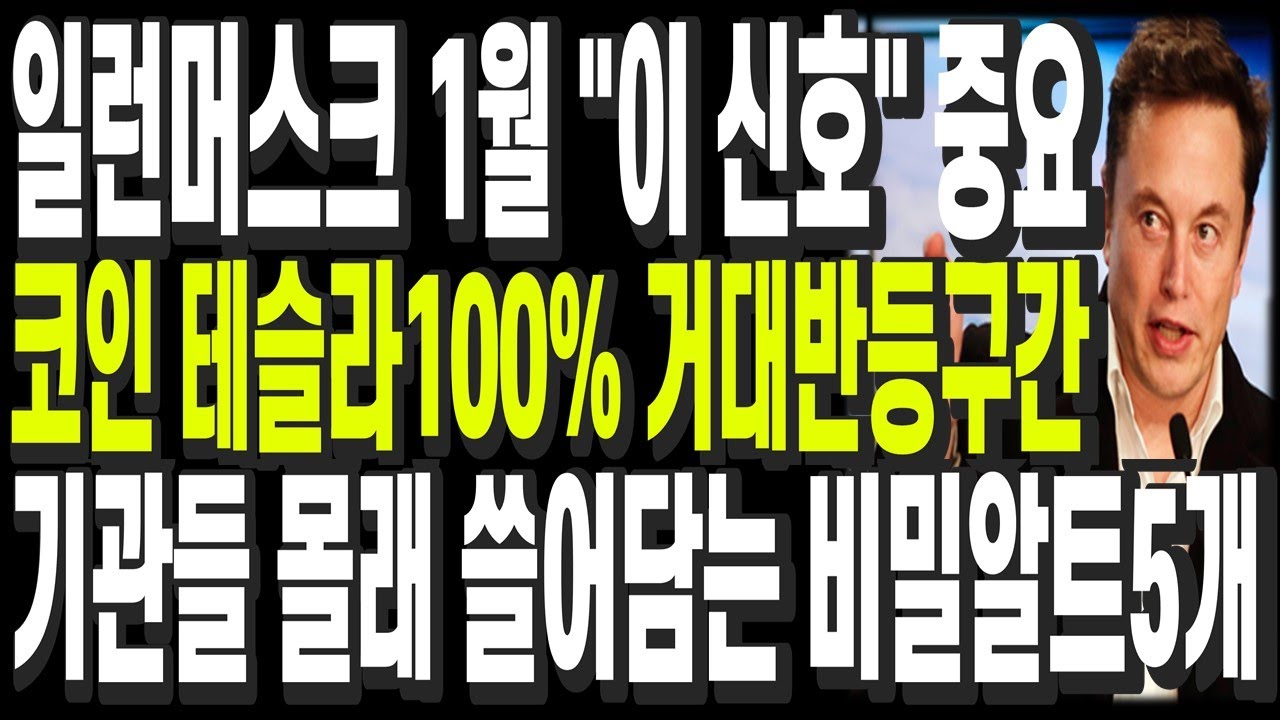 비트코인 리플 도지코인 이더리움 일런머스크 1월 이 신호 중요 코인 주식 100 거대반등구간 기관들 몰래 쓸어담는 비밀