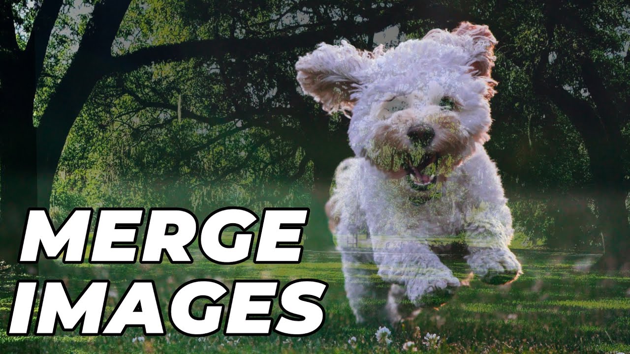 Gimp Tutorial: How to merge two images in GIMP - YouTube