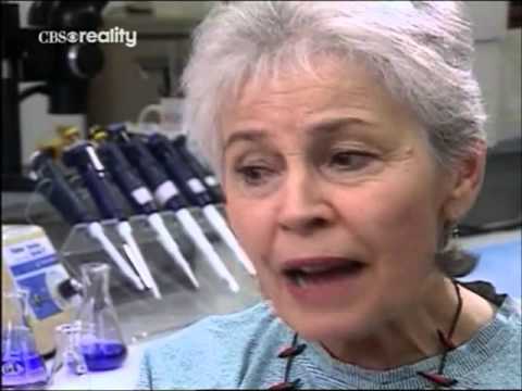 Medical Detectives/ Forensic Files: Deadly Neighbourhoods - Part 2 ...