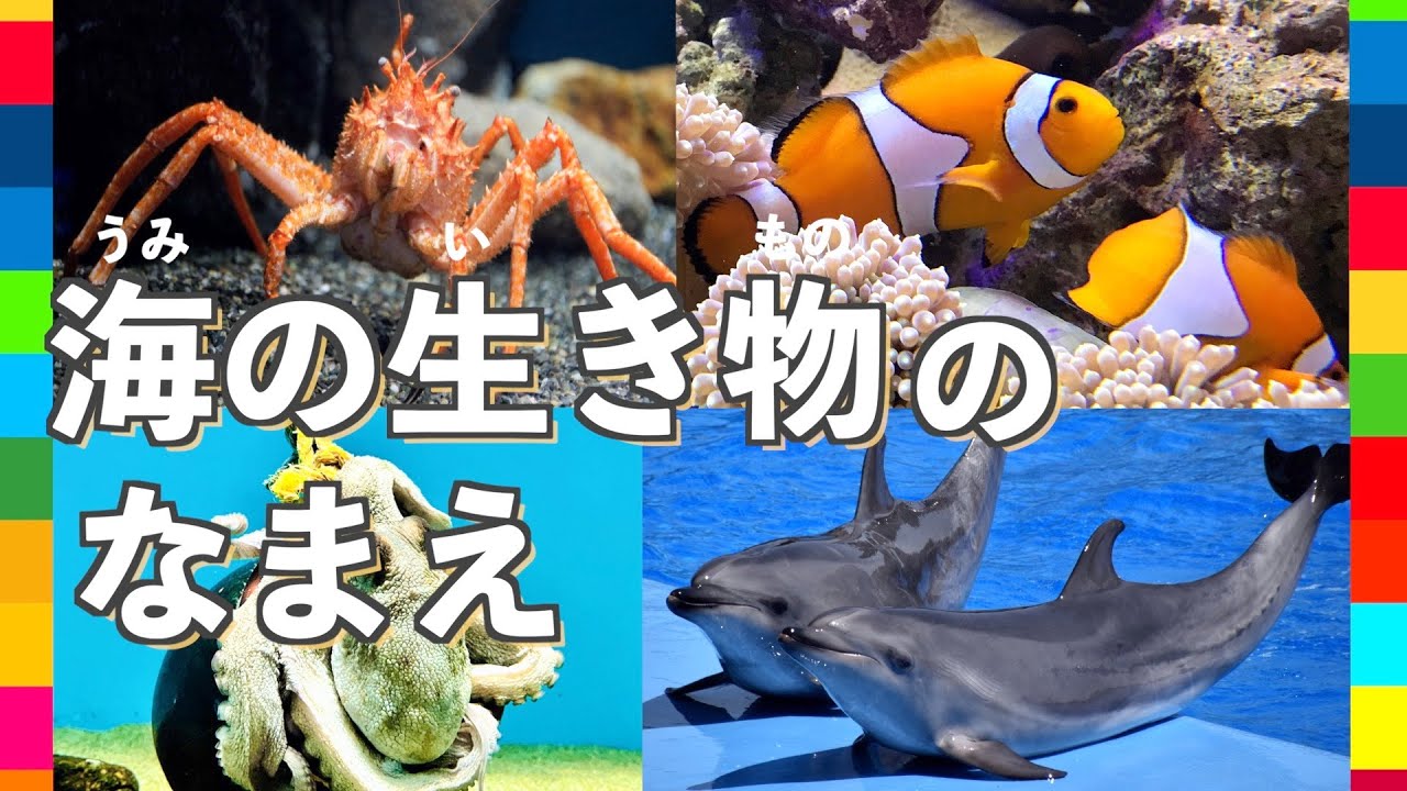 1分間で20種類の海の生き物の名前を覚えよう☆ 【知育・子供向け】Animation for kids |キッズアニメ - YouTube