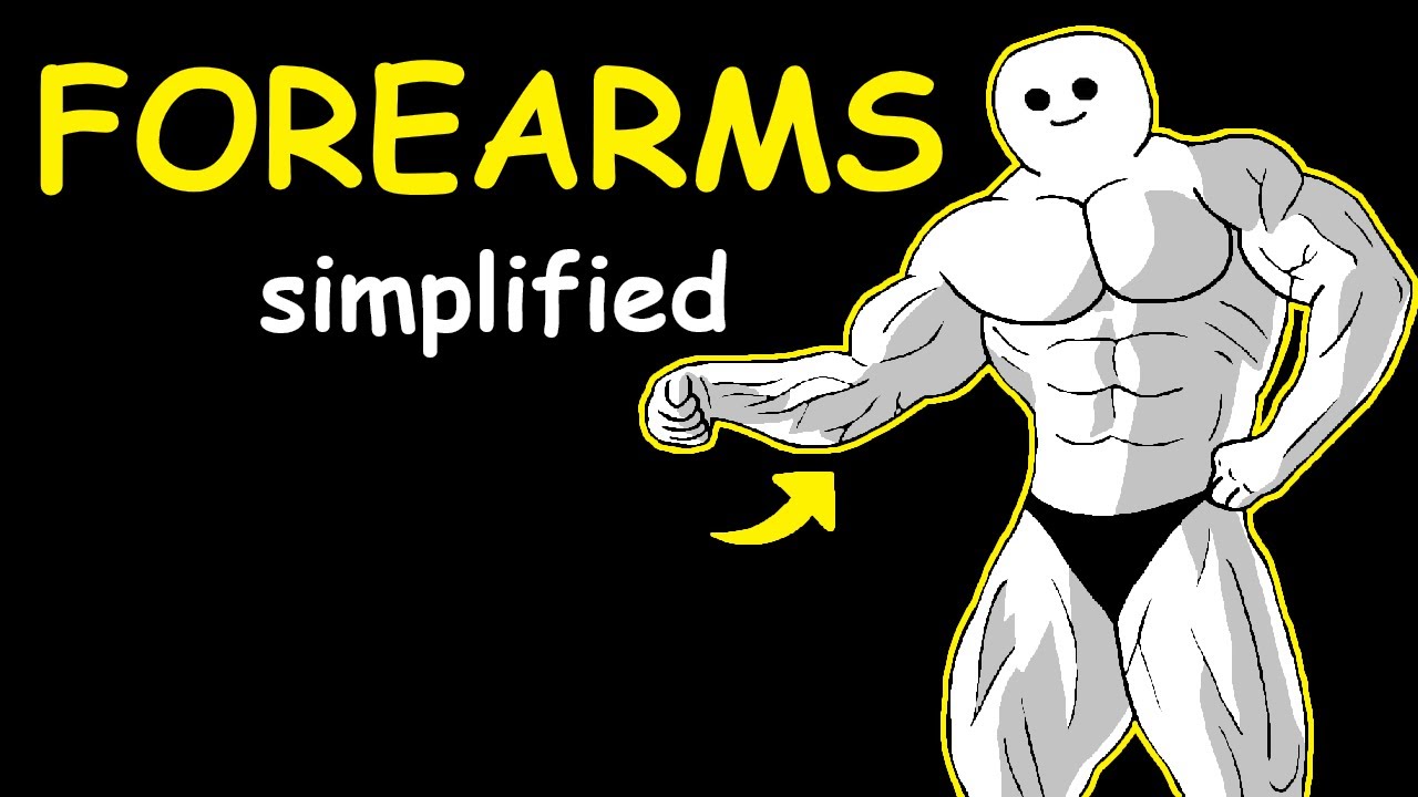 Bodybuilding Simplified: Forearms - YouTube