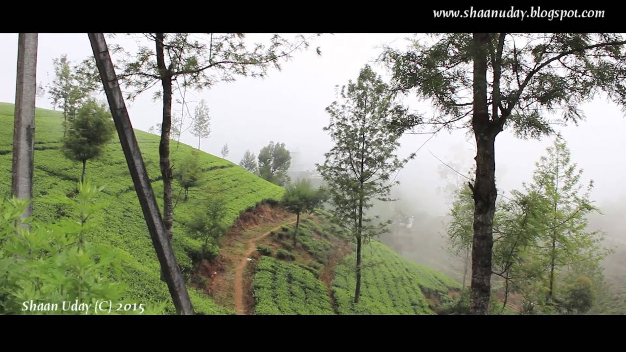 Kandapola town and surrounding hills, Sri Lanka - YouTube