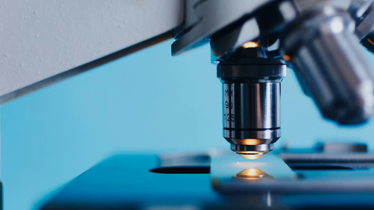 Find Your Way To God, Gold, & Greatness Using a Microscope-Never a ...