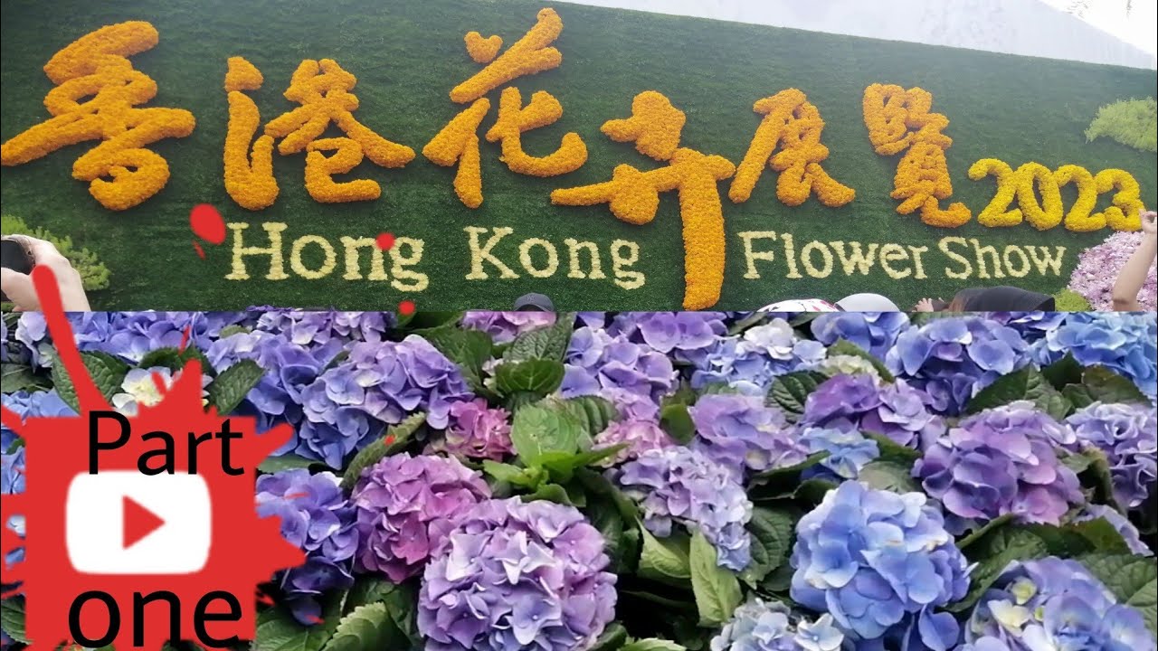 Flower Show 2023 in Victoria Park | Rizza Cafe - YouTube