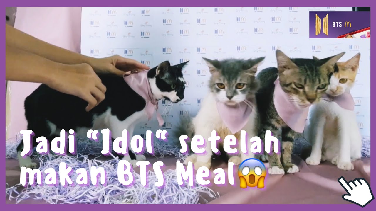 Geng Kucing #3 - Jadi Idol setelah makan BTS Meal!?😱 - YouTube