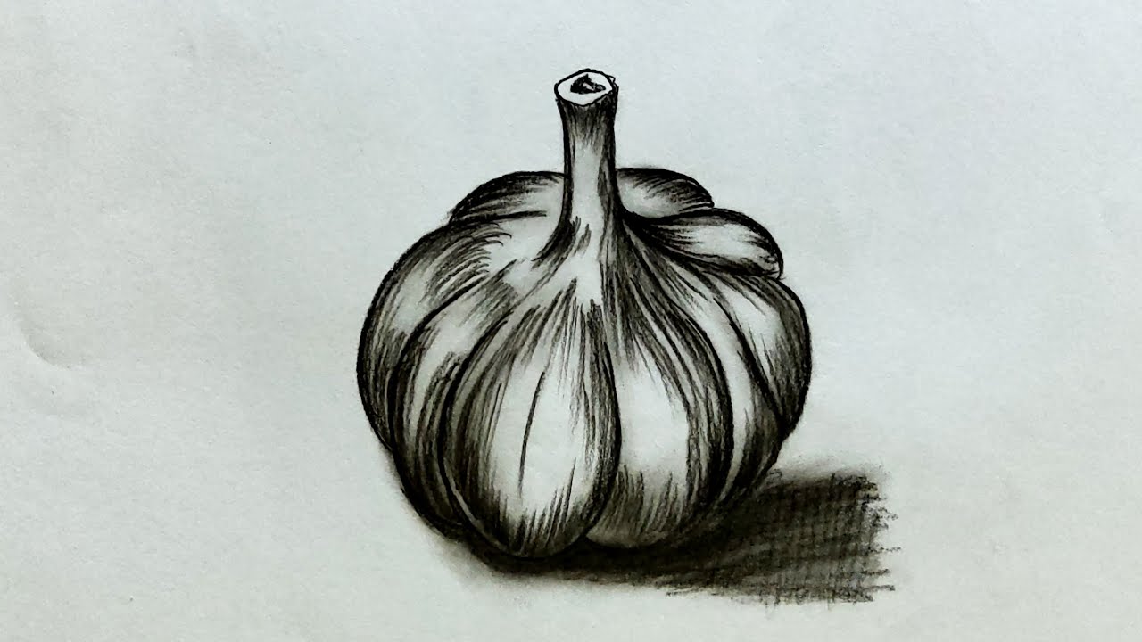 How to Draw a Garlic || Easy Garlic Drawing Tutorial For Beginners ...