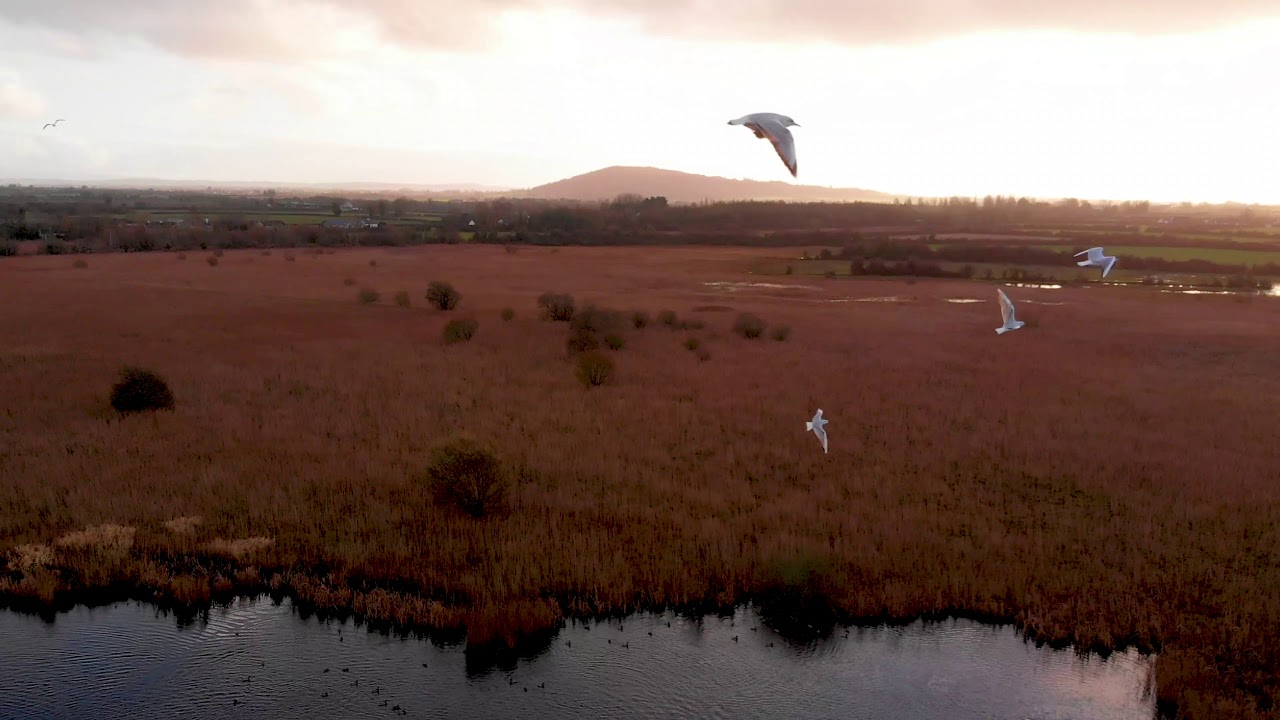 CABRAGH WETLANDS TRUST, THURLES COUNTY TIPPERARY, IRELAND. - YouTube