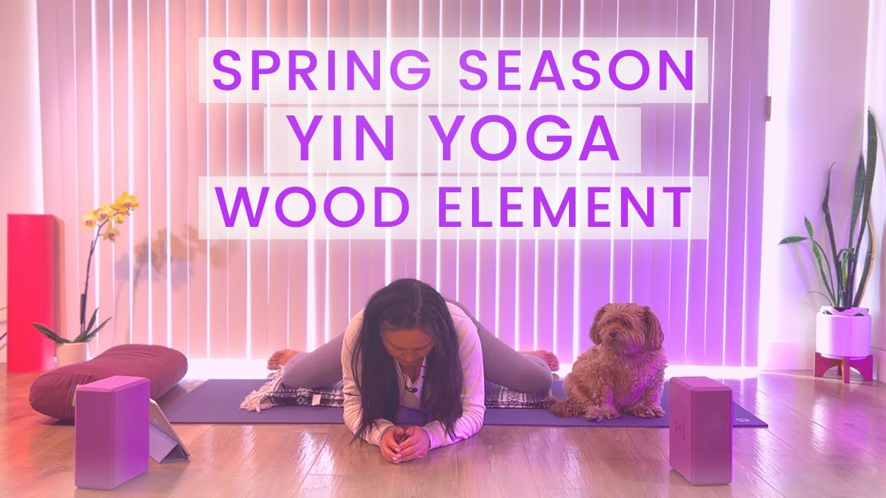 🌱 Unveil Your Spring Rebirth: Yin Yoga for Wood Element - YouTube